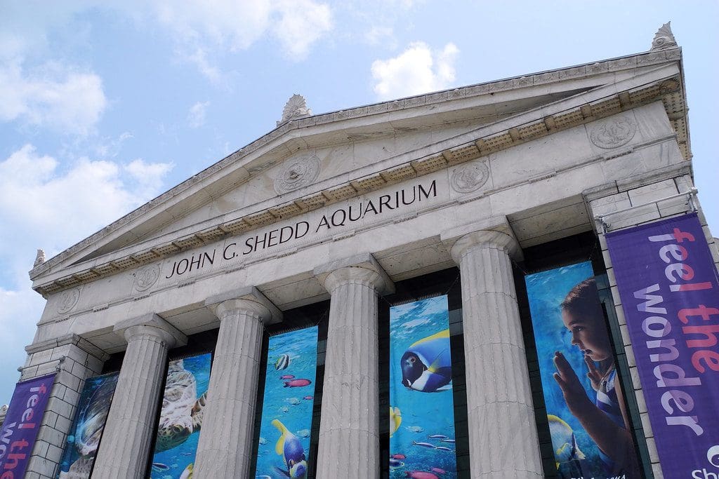 Shedd Aquarium | Teachers Discount Club